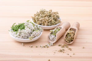 Schafgarbe pflanzen: Tipps für üppiges Wachstum